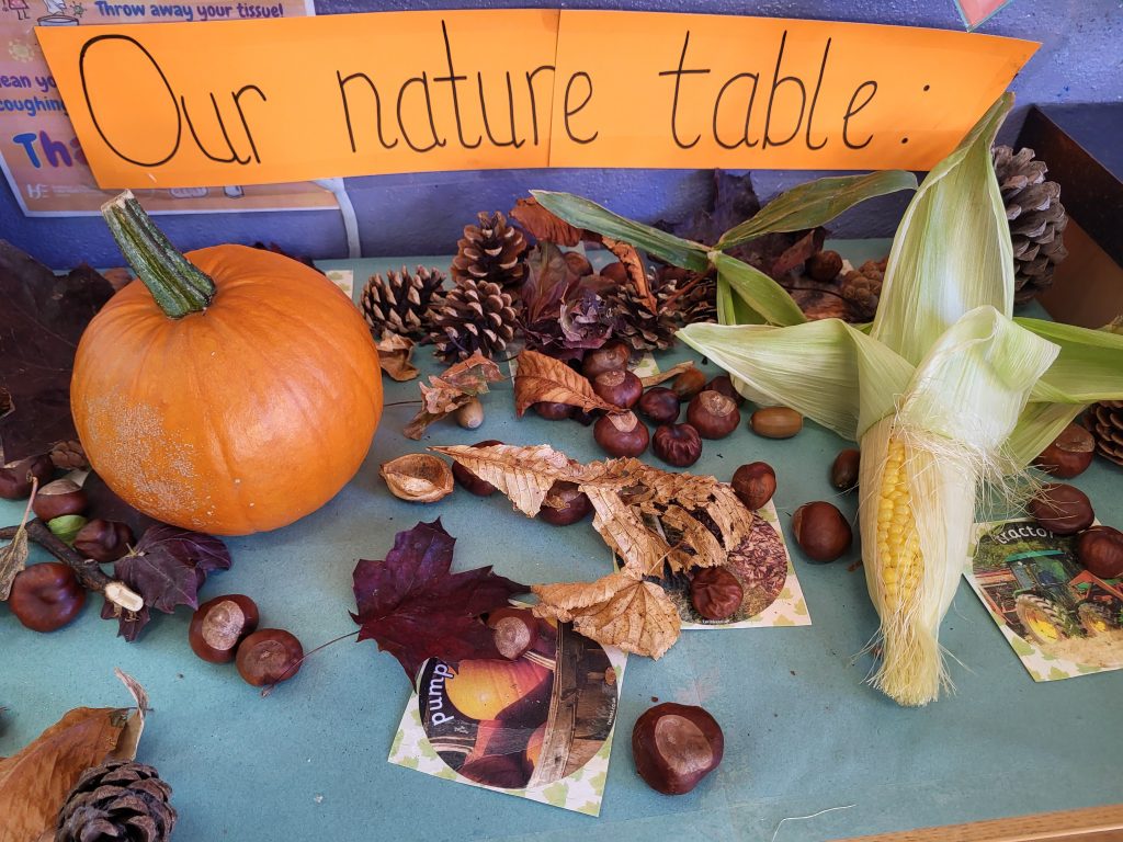 Our Autumn Nature Table - St John Bosco Junior Boys' School
